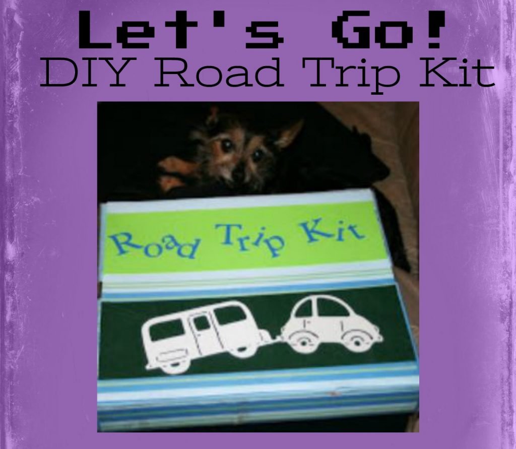 You can’t Road Trip without this! DIY Road Trip Kit - My Crafty Zoo