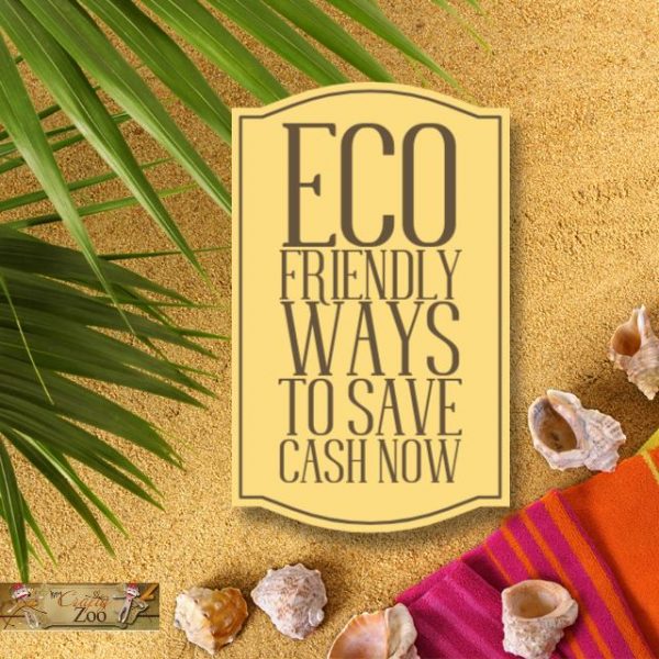 7 Eco-Friendly Ways to Save Your Cash – My Crafty Zoo
