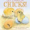 Let’s Hatch Chicks: A Review You Can’t Miss - My Crafty Zoo