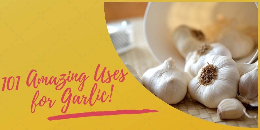 Garlic: 101 Amazing Uses For All Parts of Life ⋆ My Crafty Zoo