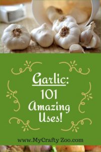 Garlic: 101 Amazing Uses For All Parts of Life - My Crafty Zoo